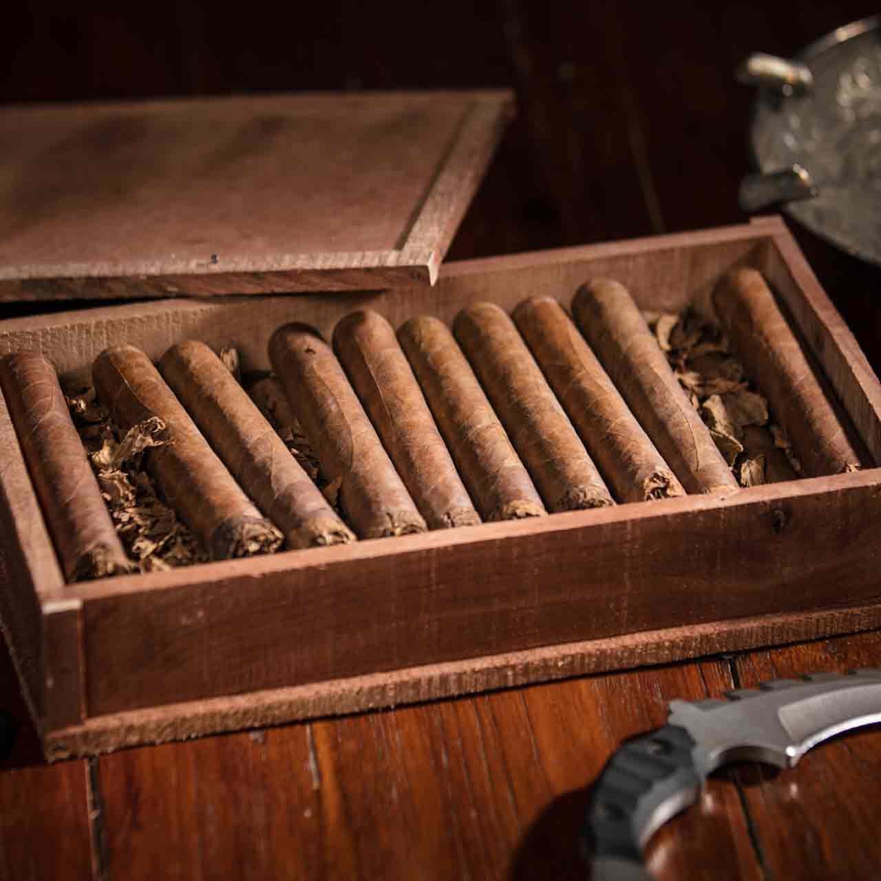 Grischa - DAS Hotel Davos